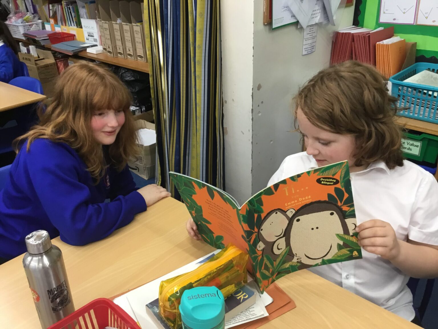 Class H: Welsh Library - Rhosddu Primary School